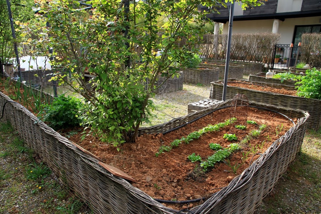 Top départ au potager - Quatre Saisons Au Jardin