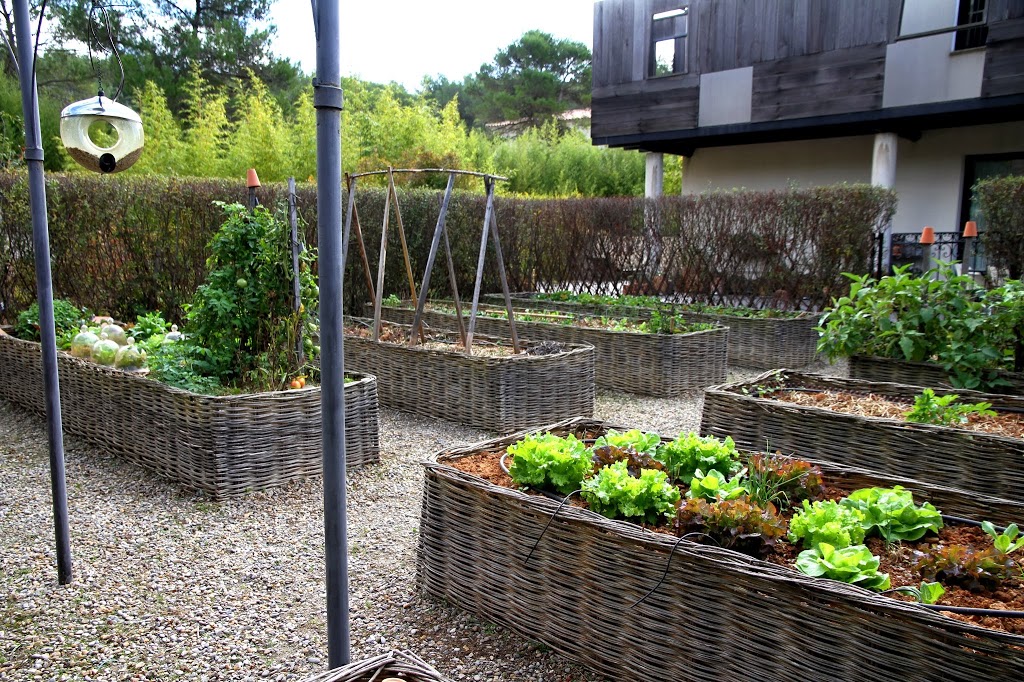 Le potager en automne - Quatre Saisons Au Jardin