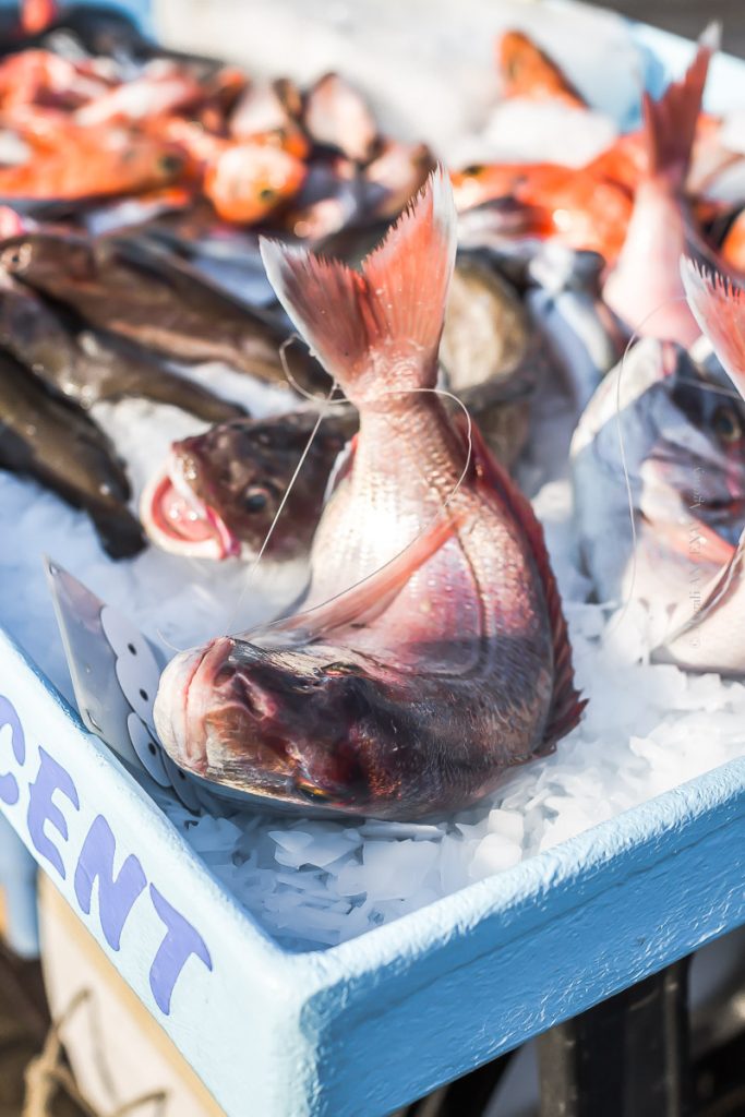 Poisson au fenouil sauvage et citron - Quatre Saisons Au Jardin