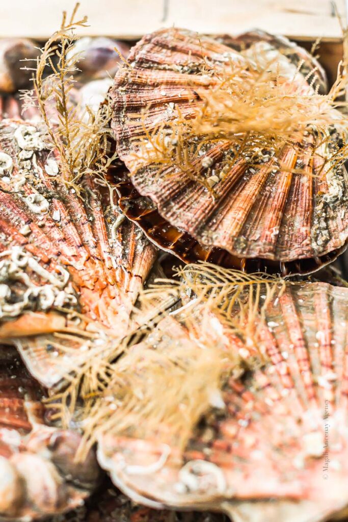 Cassolette de Saint Jacques et crevettes - Quatre Saisons Au Jardin