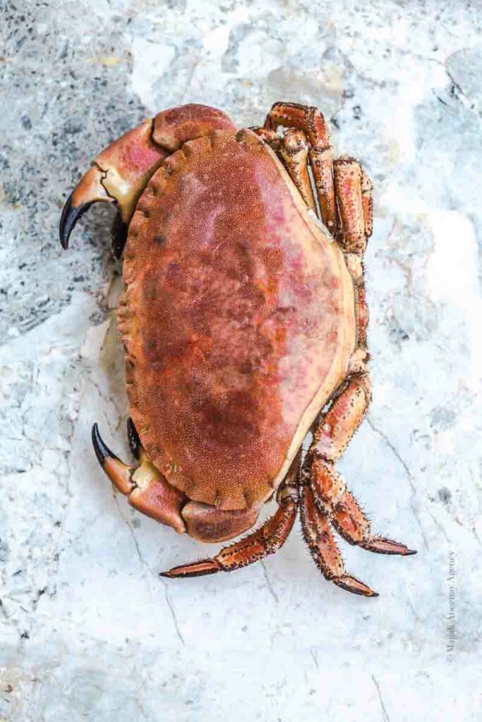 Crabe farci aux saveurs asiatiques - Quatre Saisons Au Jardin