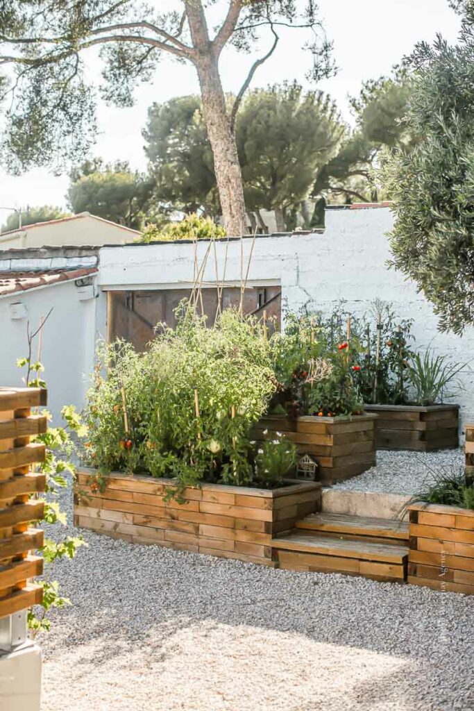 Le compagnonnage au potager - Quatre Saisons Au Jardin
