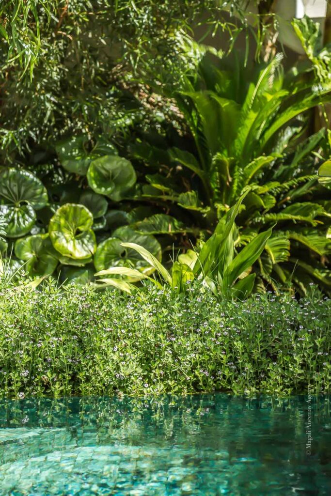 Comment créer un jardin exotique pour un dépaysement total - Quatre ...